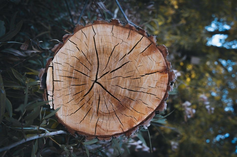 Creating a Timeline – W&W2Go for Parents